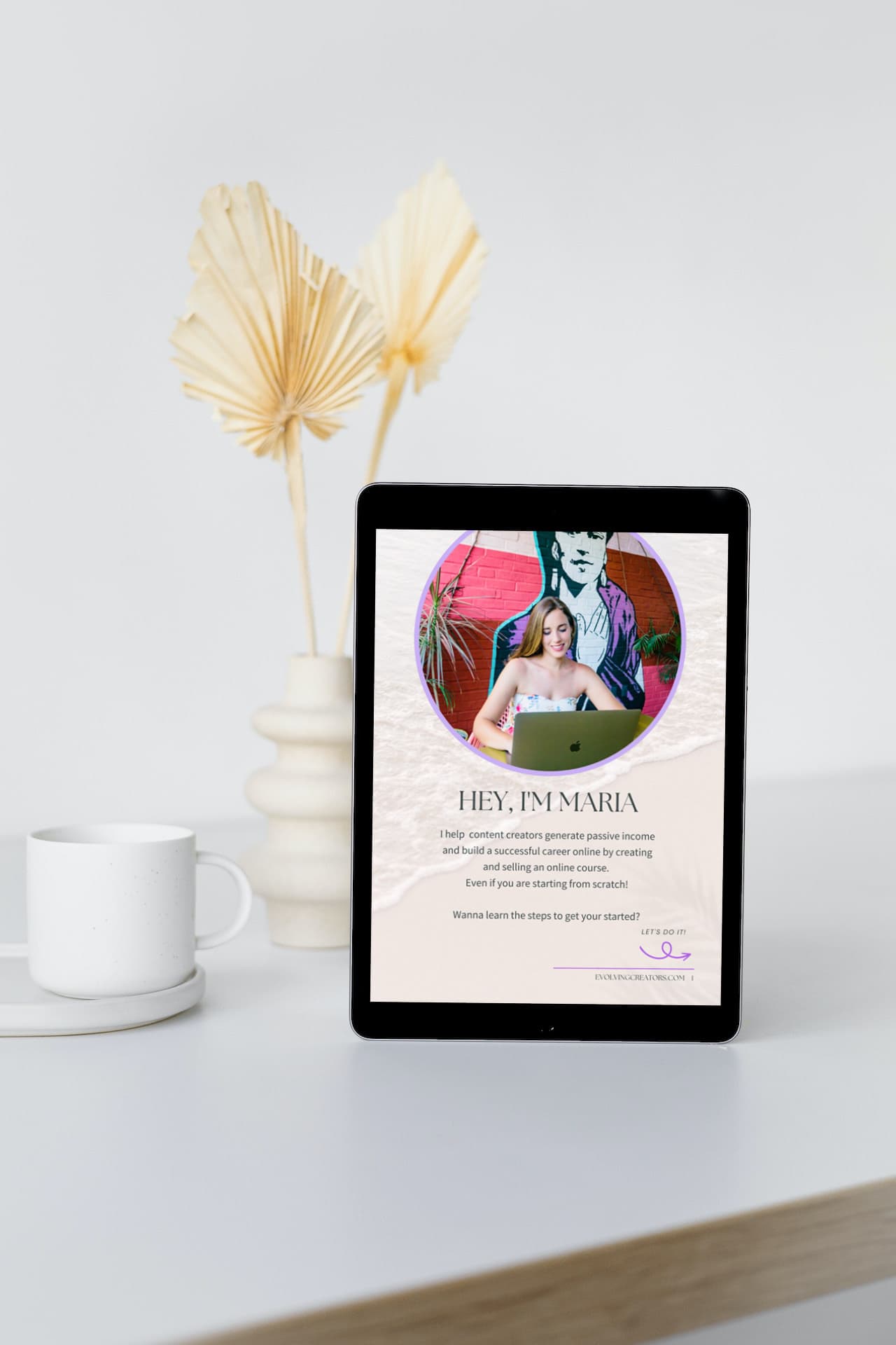 Online Course Creation Roadmap - Evolving Creators Academy